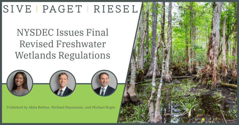 NYSDEC Issues Final Revised Freshwater Wetlands Regulations - Sive ...
